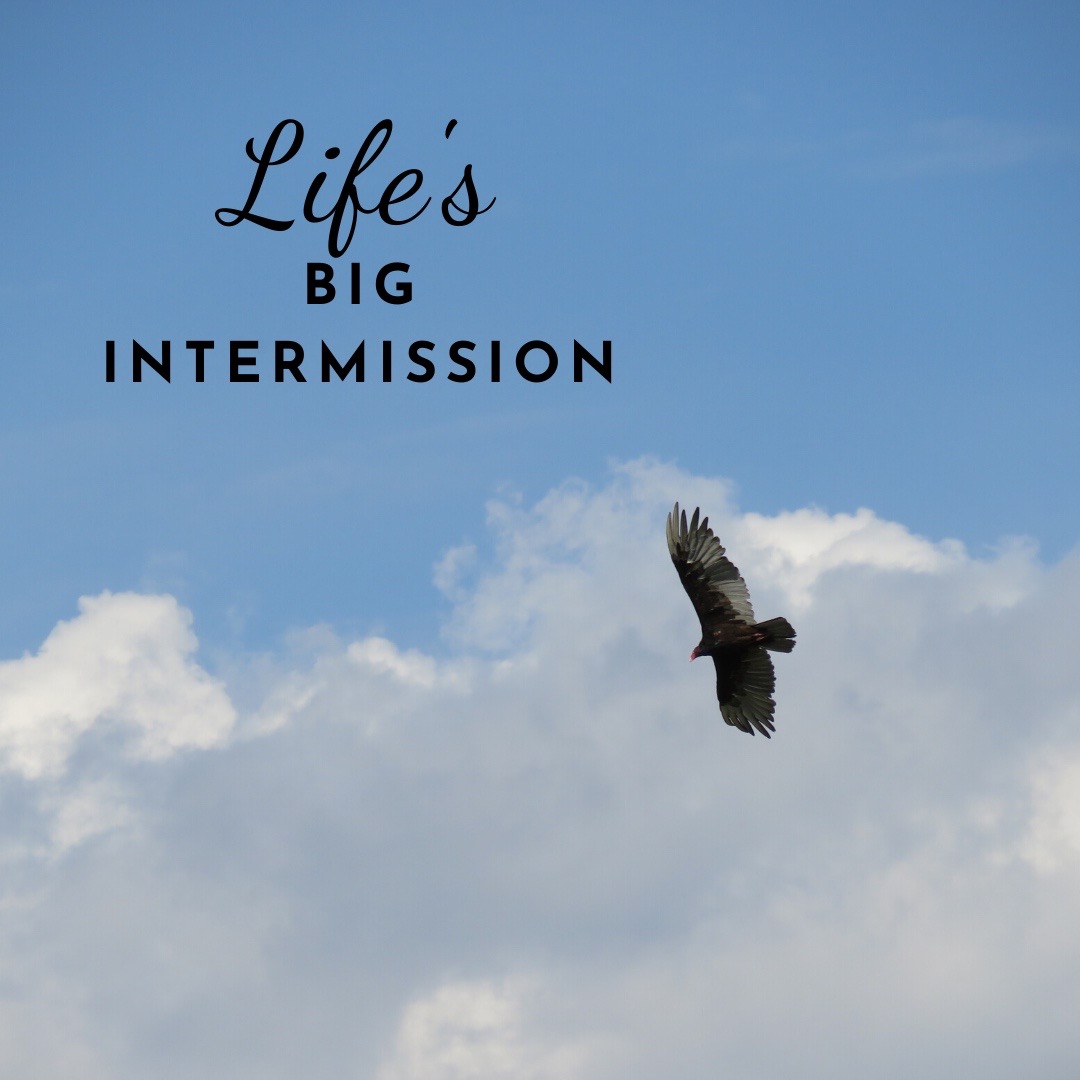 Life’s Big Intermission – Wendy Shelley